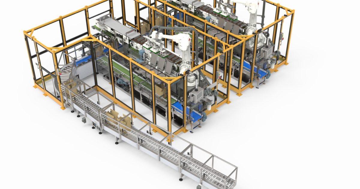 Robotic Pouch Case Packing Systems - RP-Y | Pouch Casing Solutions ...